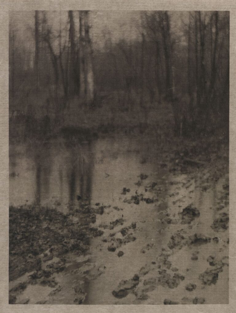 EDWARD STEICHEN. Landscape, Camera Work II, 1903
